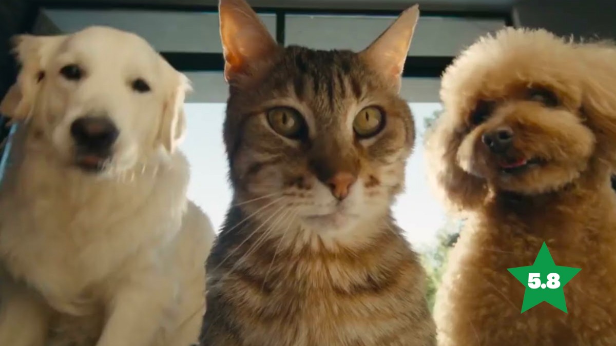 Samsung’s Pet Selfies Get A Purr-Fect Score | System1 Group | Samsung