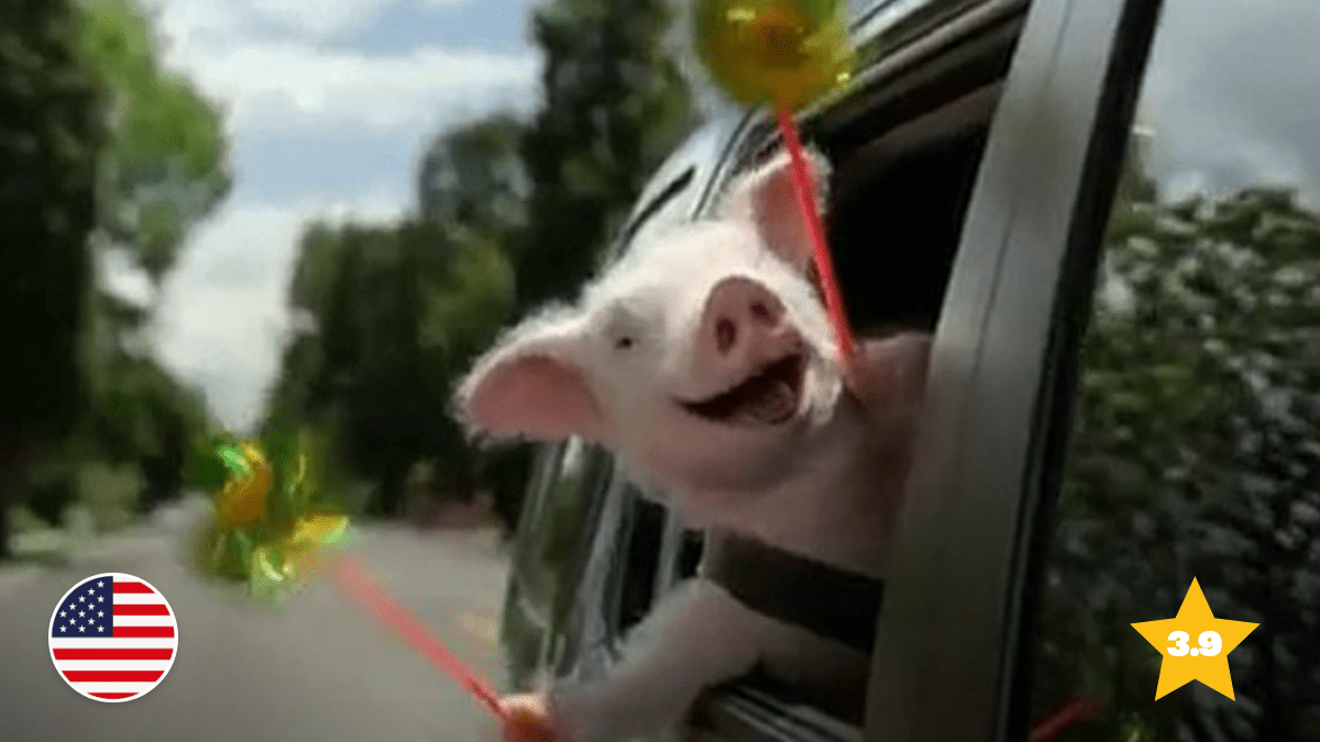 Maxwell the Pig is GEICO’s Comeback King | System1 Group | GEICO